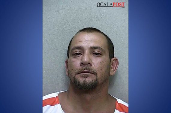 Ocala Post (Ocala News) - Child alerts police when mother was attacked ...