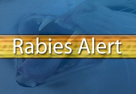 Ocala Post - Marion County, FL Rabies Alert